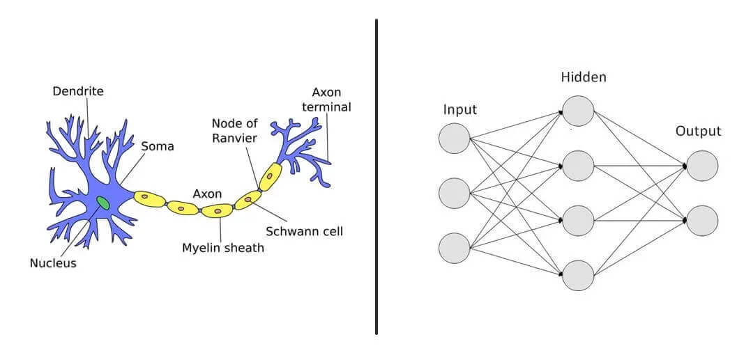 Approximate Nearest Neighbors (ANN) Algorithm using KD-Trees from ...