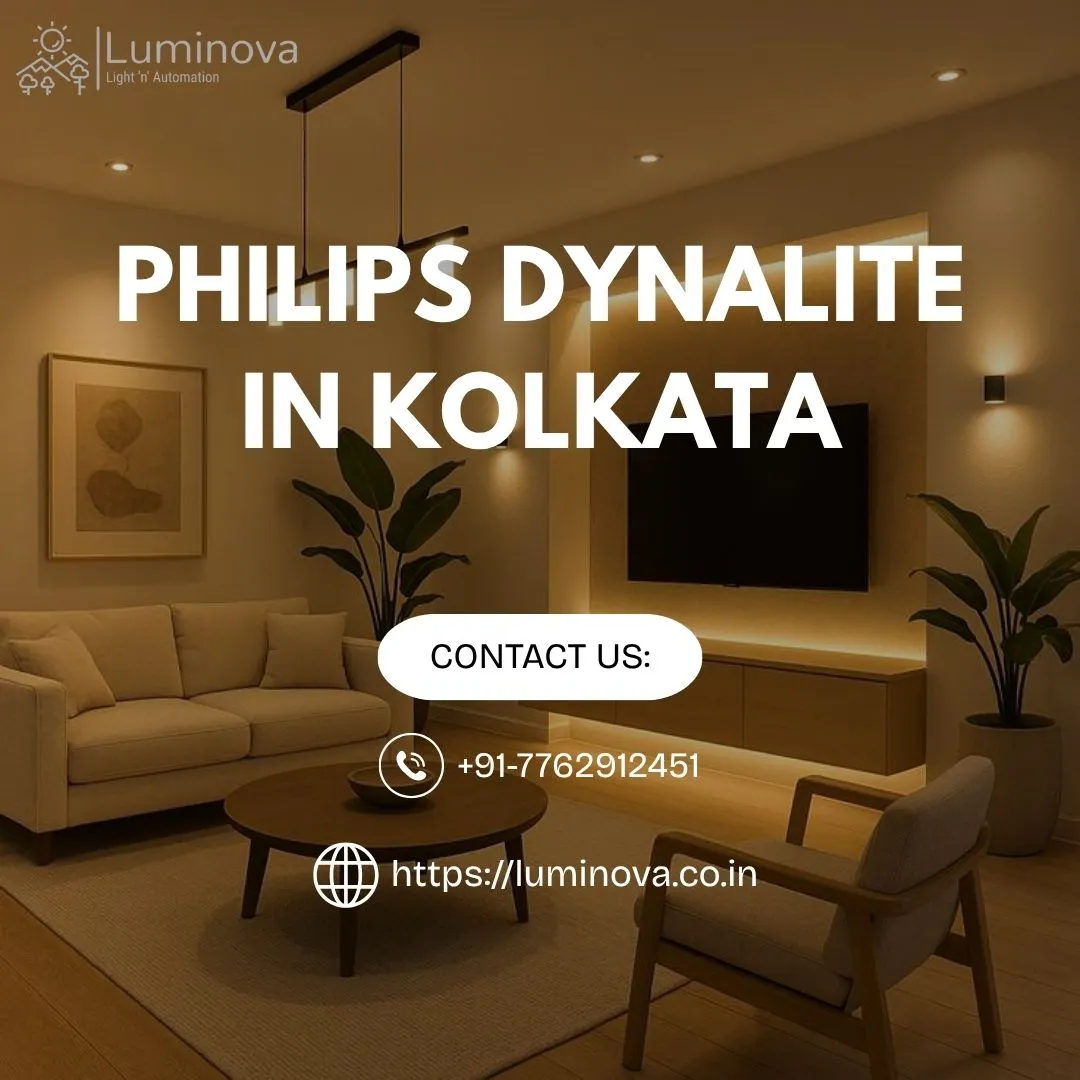 Elevate your lighting visualization experience with Fulham in Pune ...