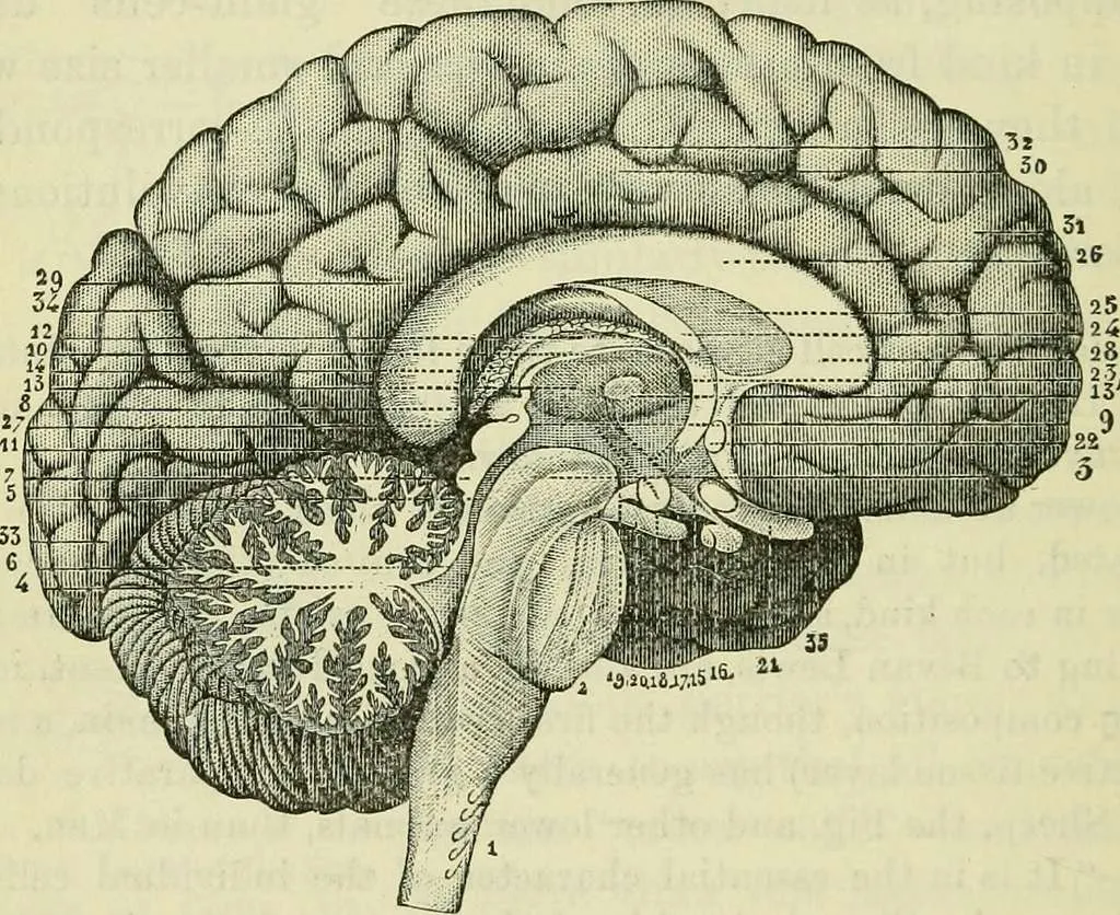 The Radical Act of Self-Study: Moving from Passive Patient to Informed ...