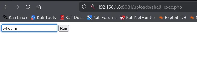 Remote Code Execution (RCE) via Telerik Dialog Handler Exploit | by Ayushi | Medium