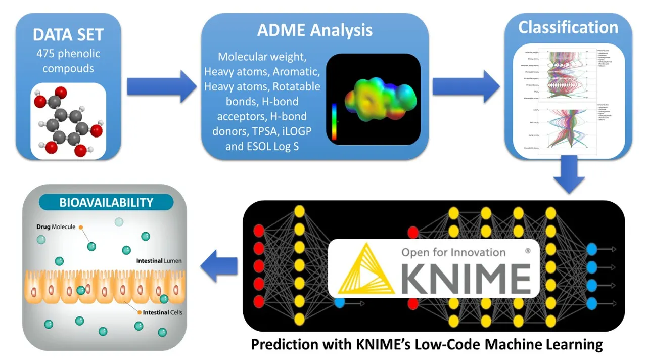 Streamlining Drug Bioavailability Prediction with KNIME’s Low-Code Machine Learning | by Majdi ...