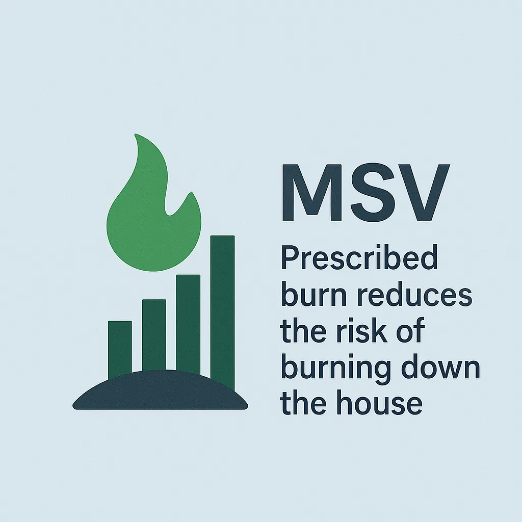 Minimum Scale Velocity (MSV): A Strategic Operating Model for PE-Led ...