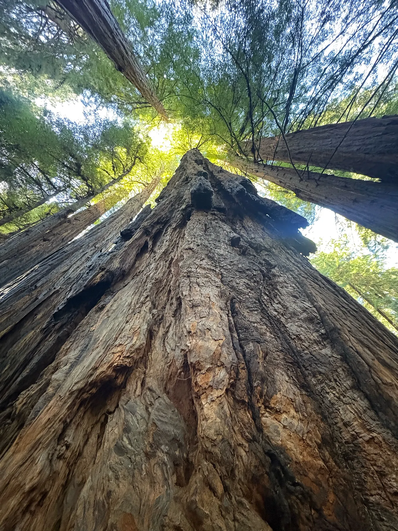 Walking My Path. Living my life. | by Vanita Chawla | Picture Poetry ...