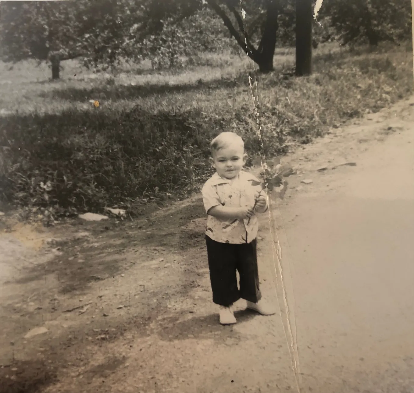 Will the U.S. Take Action Against Nigeria to Protect Christians? | by Purna Lal Chakma | Global ...