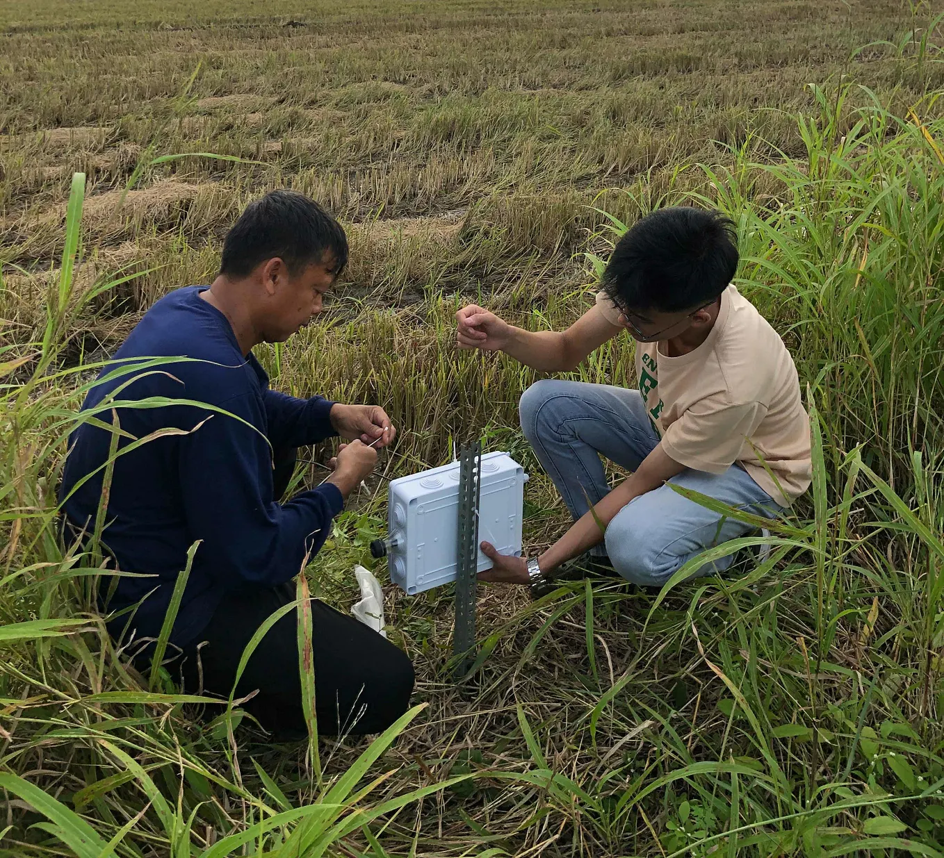 AGTEK | POSO DE PELIGRO: Antibiotic-Resistant E. coli Natuklasan sa ...