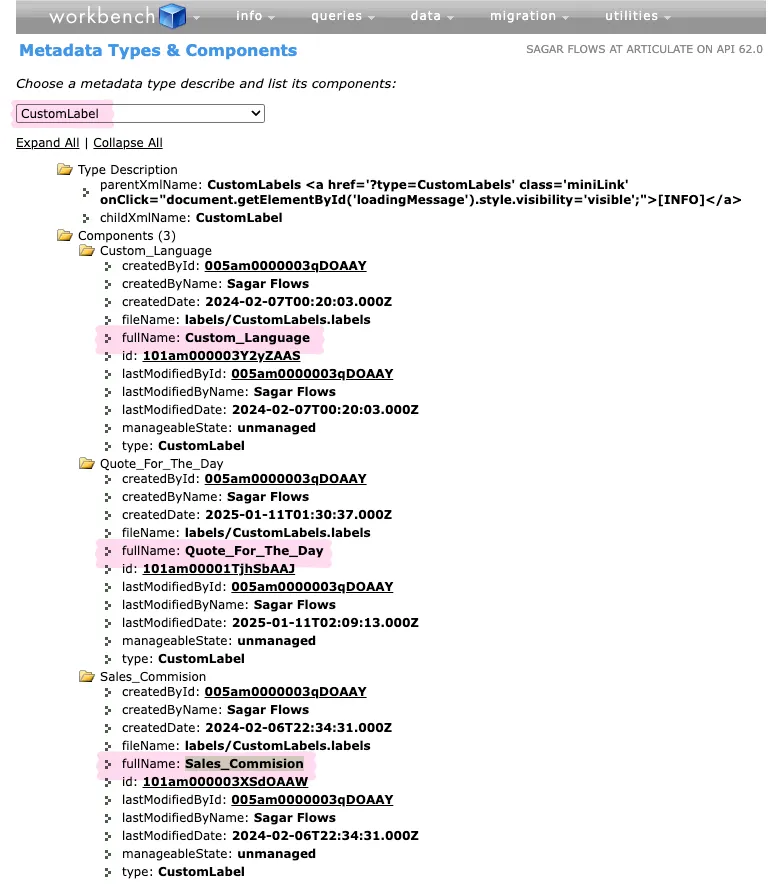 🚀 Salesforce UI Customization Simplified — Part 3: Buttons, Links & Actions | by Tushar ...