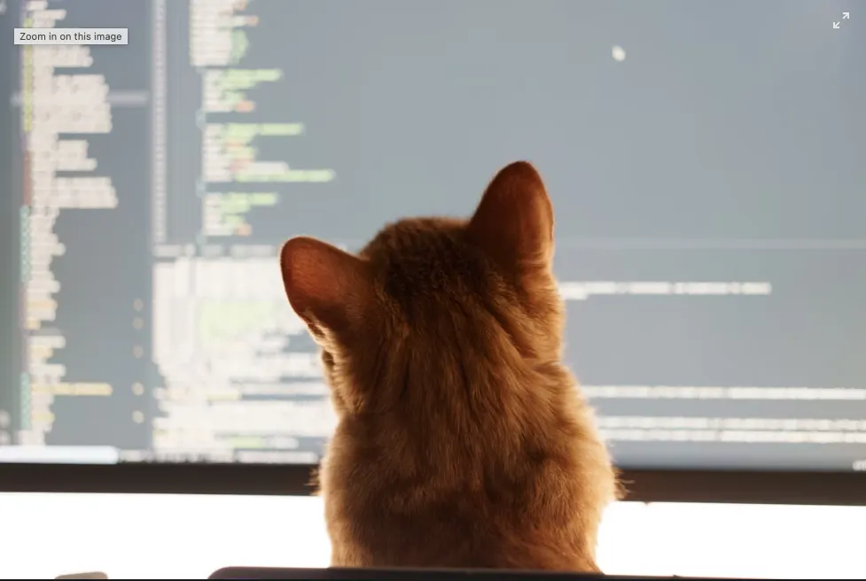 Parameterize and Execute Jupyter Notebook using Papermill | by Stan ...