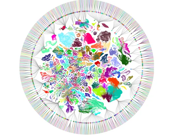 Regular Expressions in Advanced Command Line Linux | by Akinjide ...