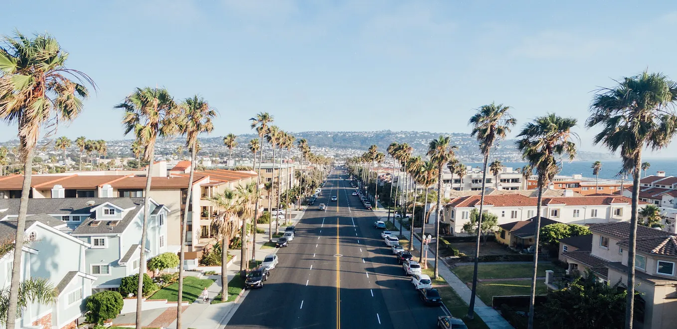 We can’t just plant our way out of the climate crisis | by Carbon180 ...