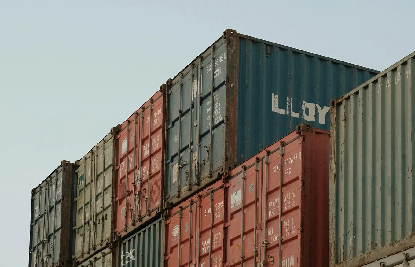 Search Filter Input With Filter Pipe In Angular 16 By The Software Line Level Up Coding