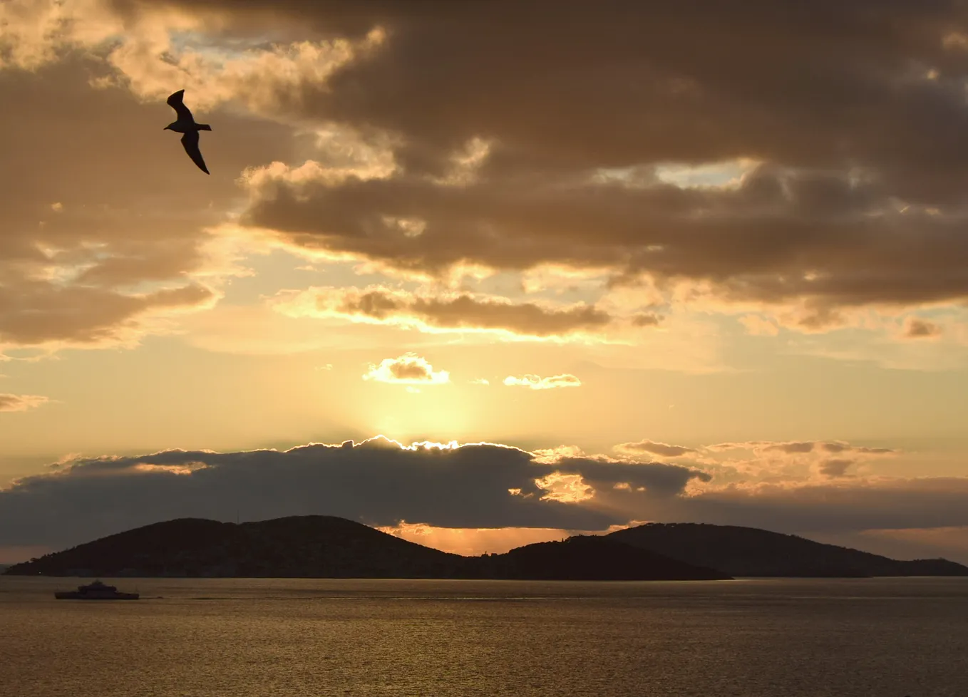 .NET Evolution: From .NET Framework to .NET 9 | by Adem KORKMAZ | DevOps.dev