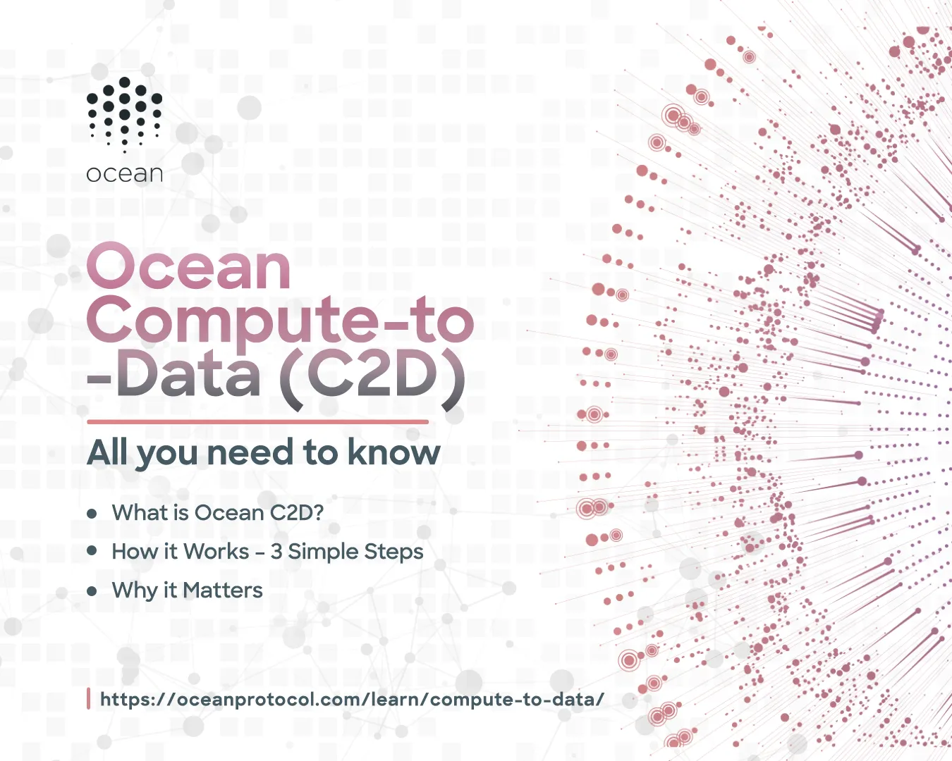 Reflecting on Ocean Protocol’s Milestones: A Year of Growth, Innovation ...