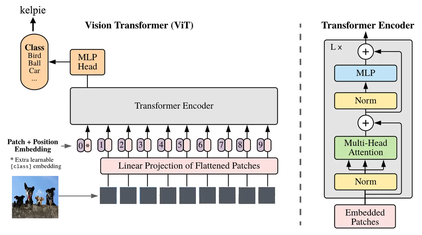 How to classify monkeys images using convolutional neural network , Keras tuner hyper parameters ...