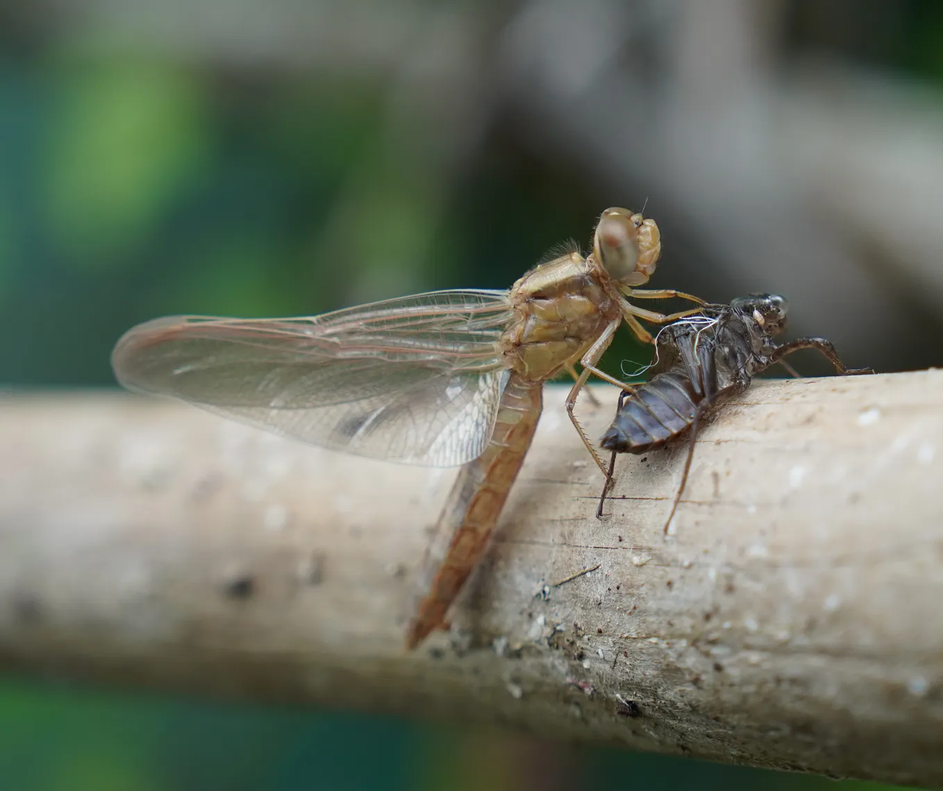 Indeed, type-based if-else/switch statements are traditionally ...