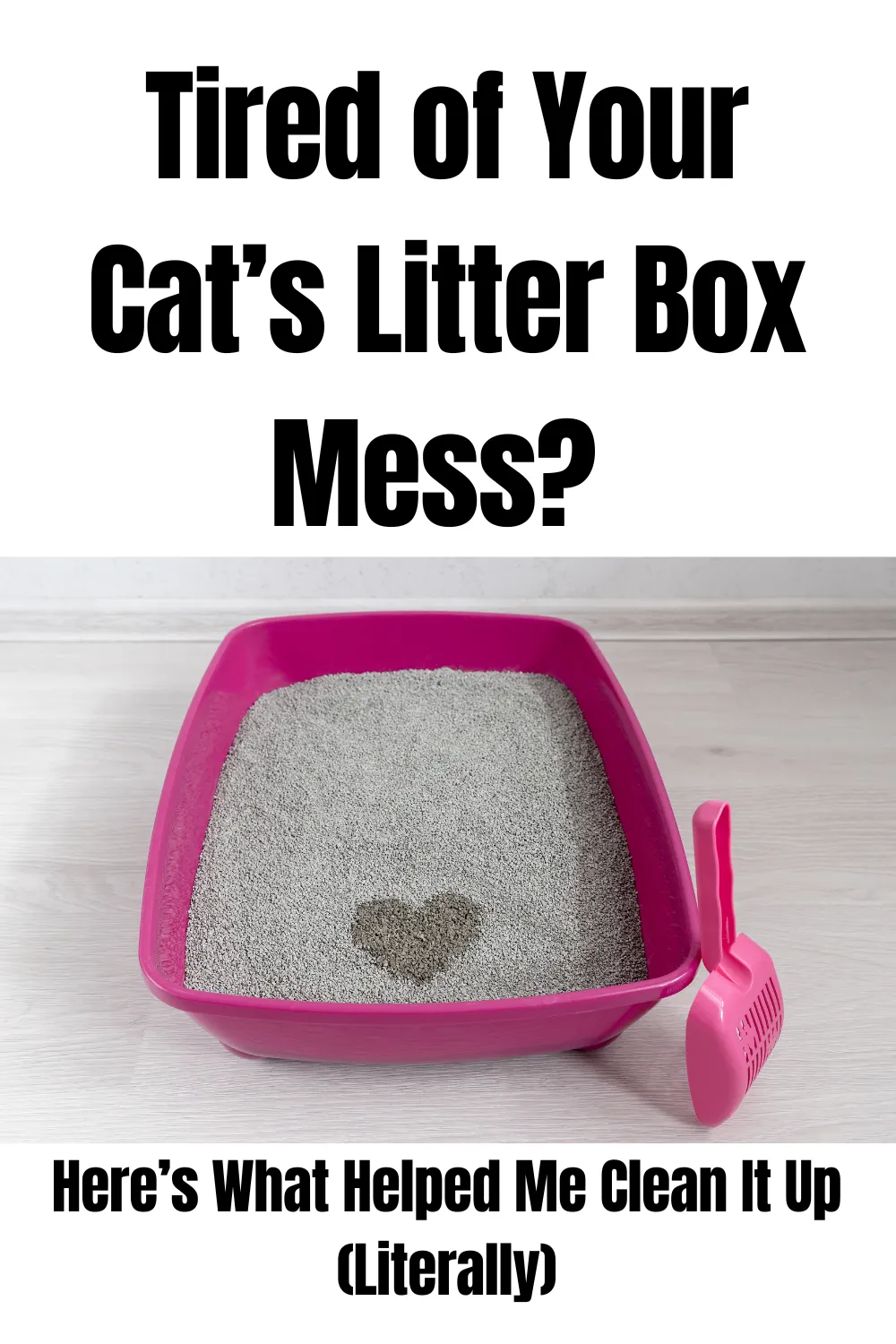 Feeling Overwhelmed by Litter Box Options? | by Shelley Wenger | Nov ...