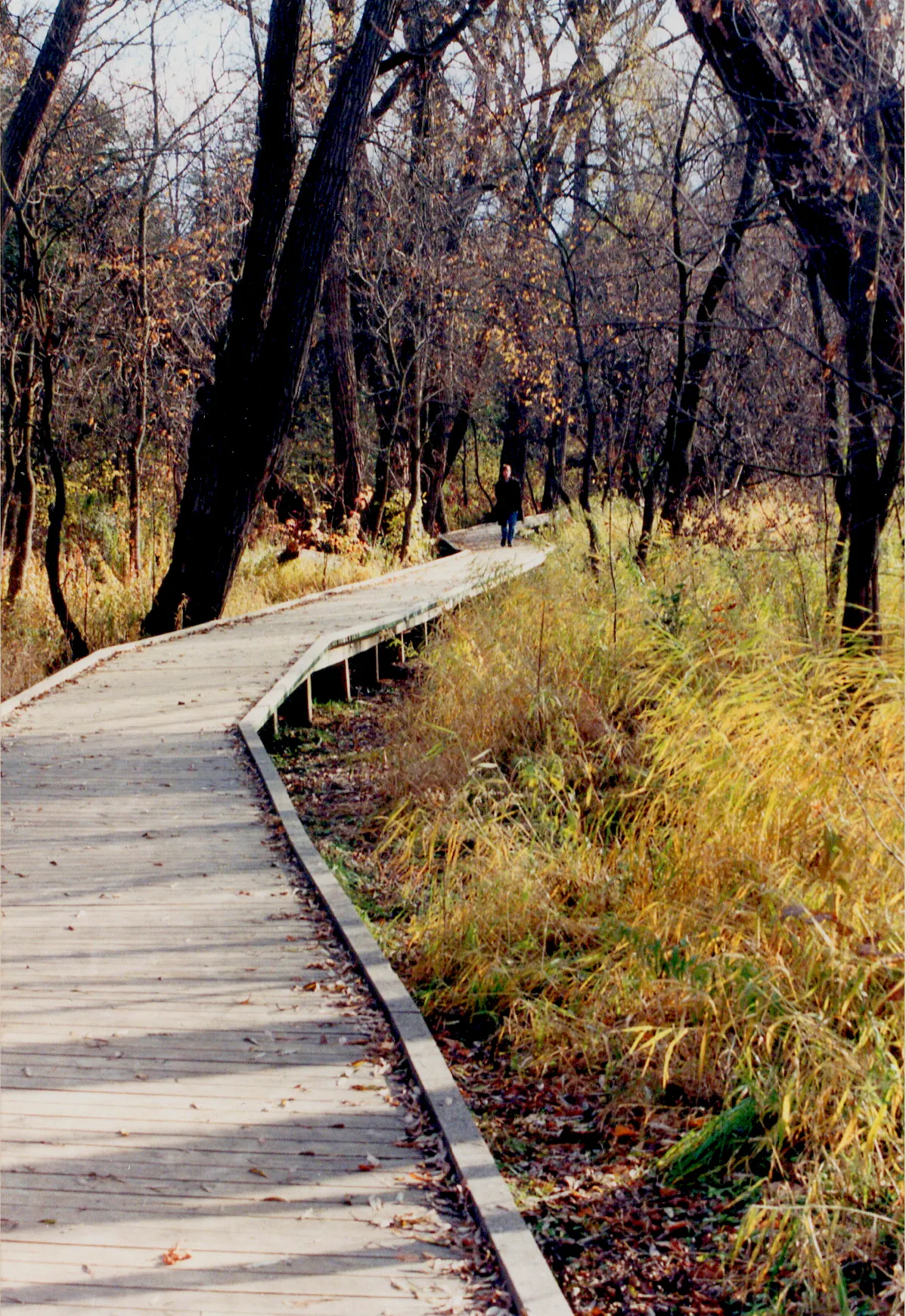 Who know. It's just an article right now. :) Thanks for reading. - Curtis Alexander - Medium