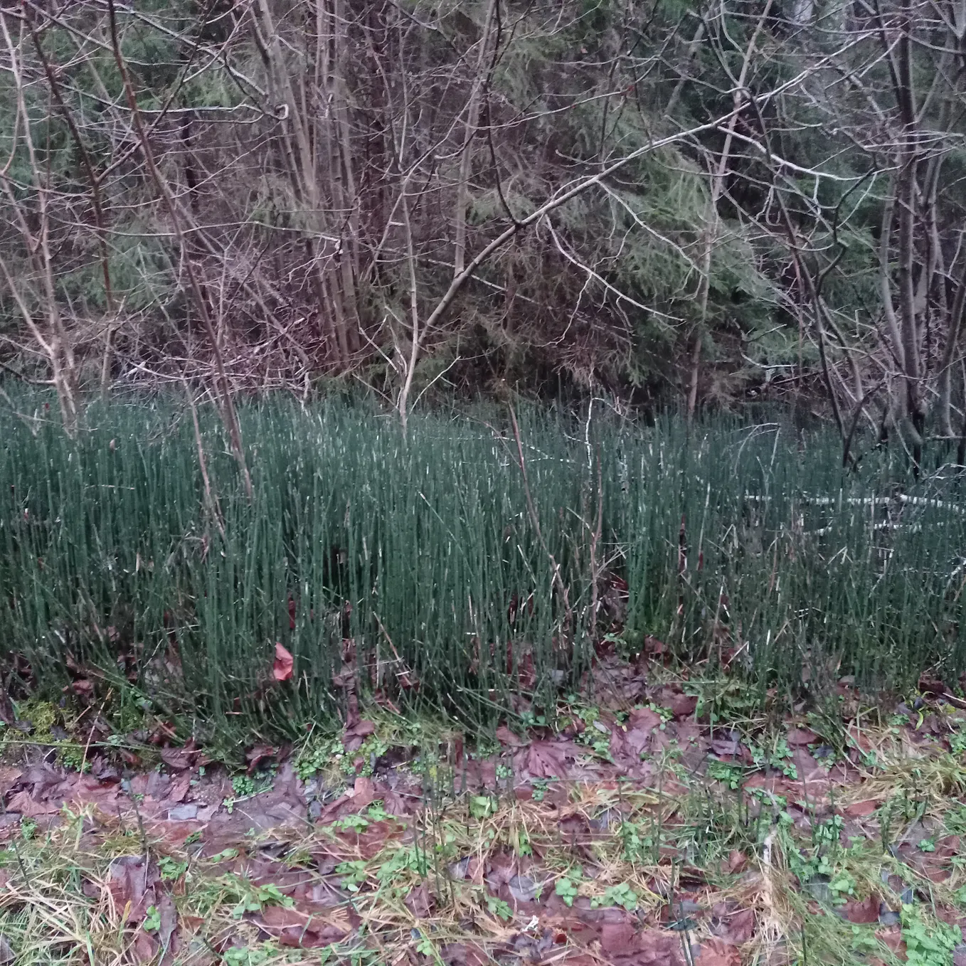 Oracle Database for local development environment | by Jānis Erlihs ...