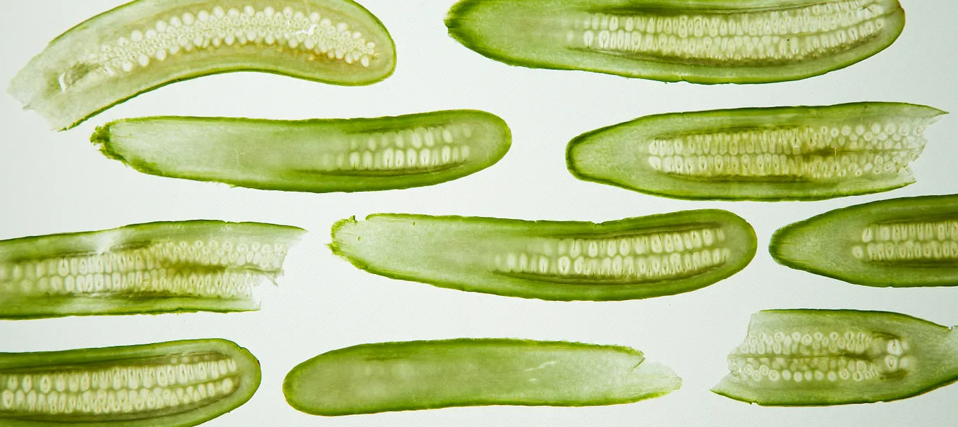 Presenting Data Using Jupyter Notebook Slides Vs Code By Tristen 4766