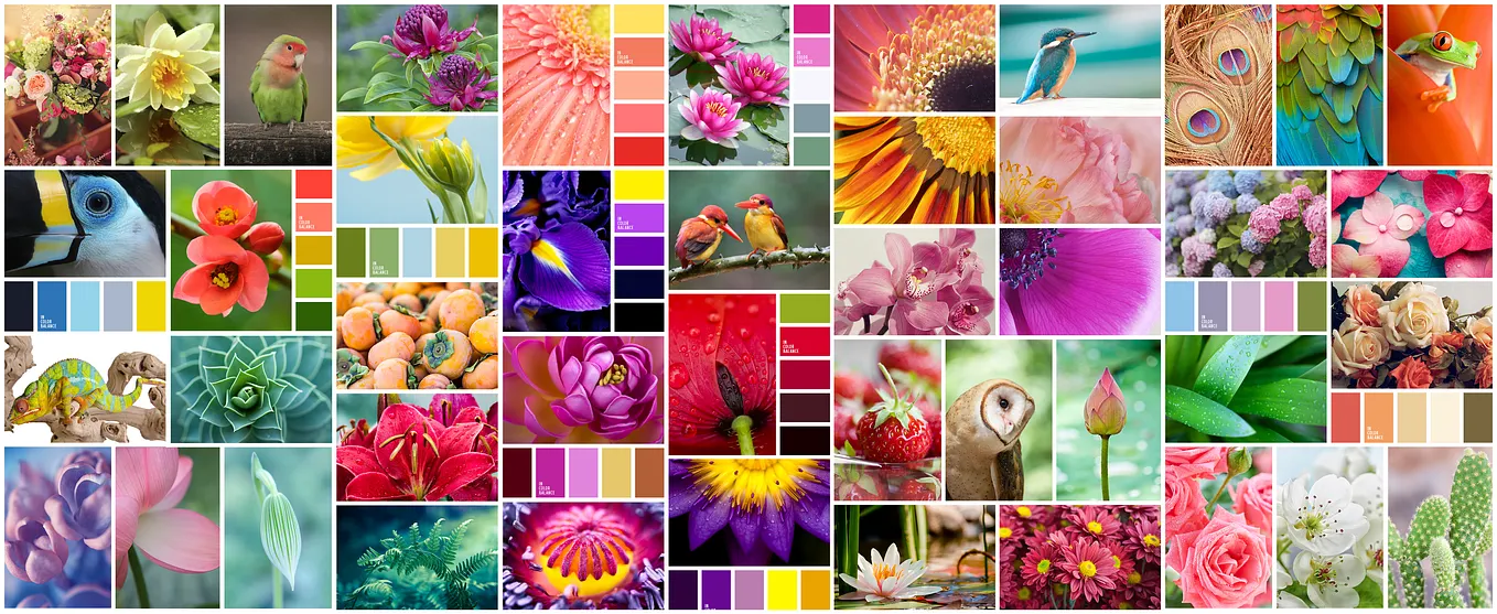 Best Three Color Scheme for UI Design | by Anna Grand | UX Planet