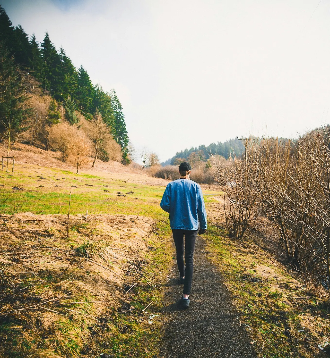 100 Timeless Quotes From the World’s Most Influential Minds | by Asif ...