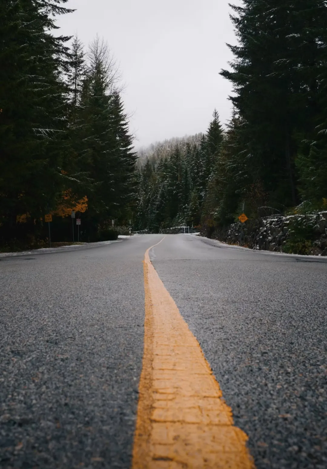 Unpacking the Baggage: How to Travel Light into Your Future | by ...