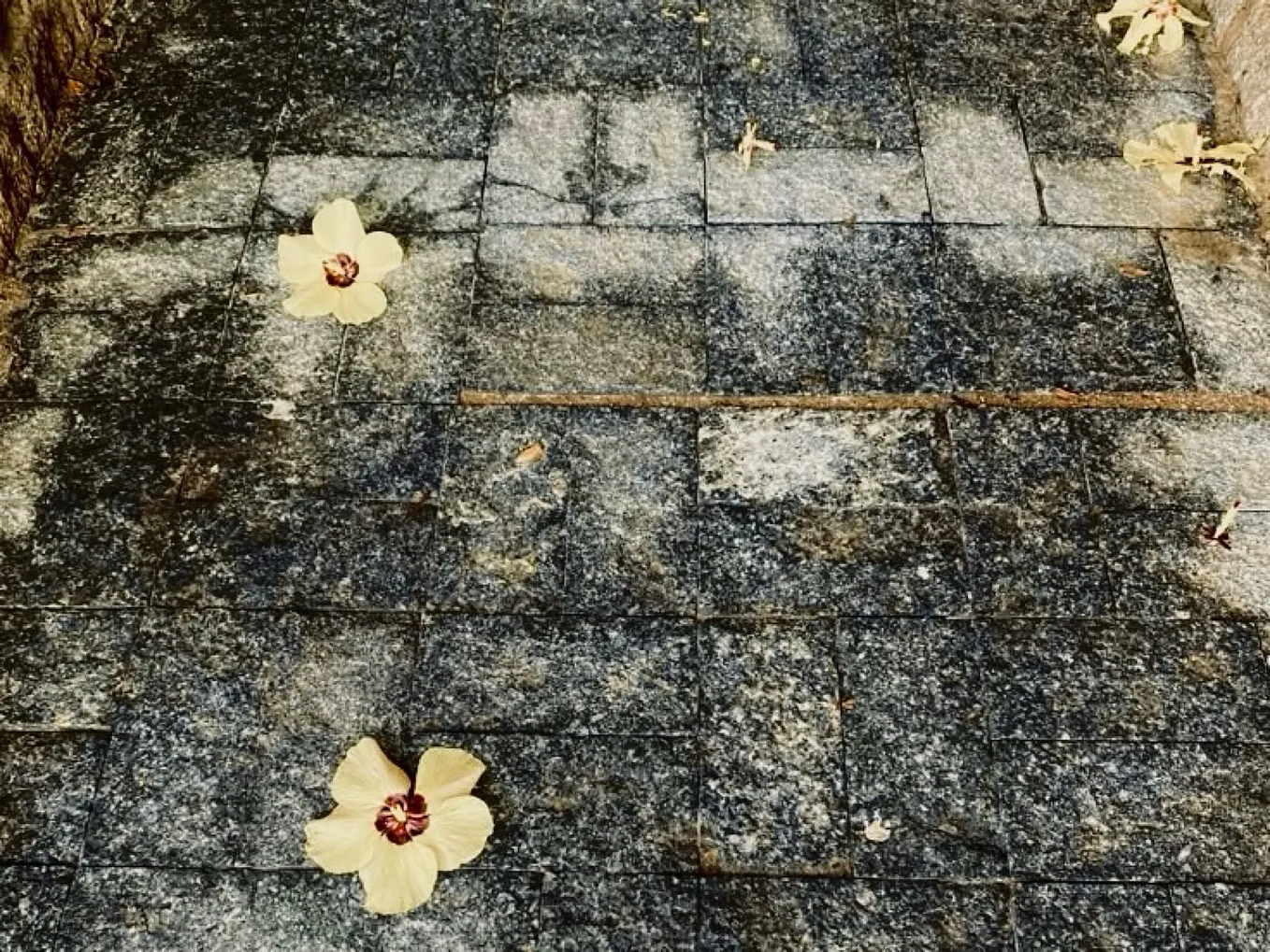 someone who always come back, is someone who will always leave | by ...