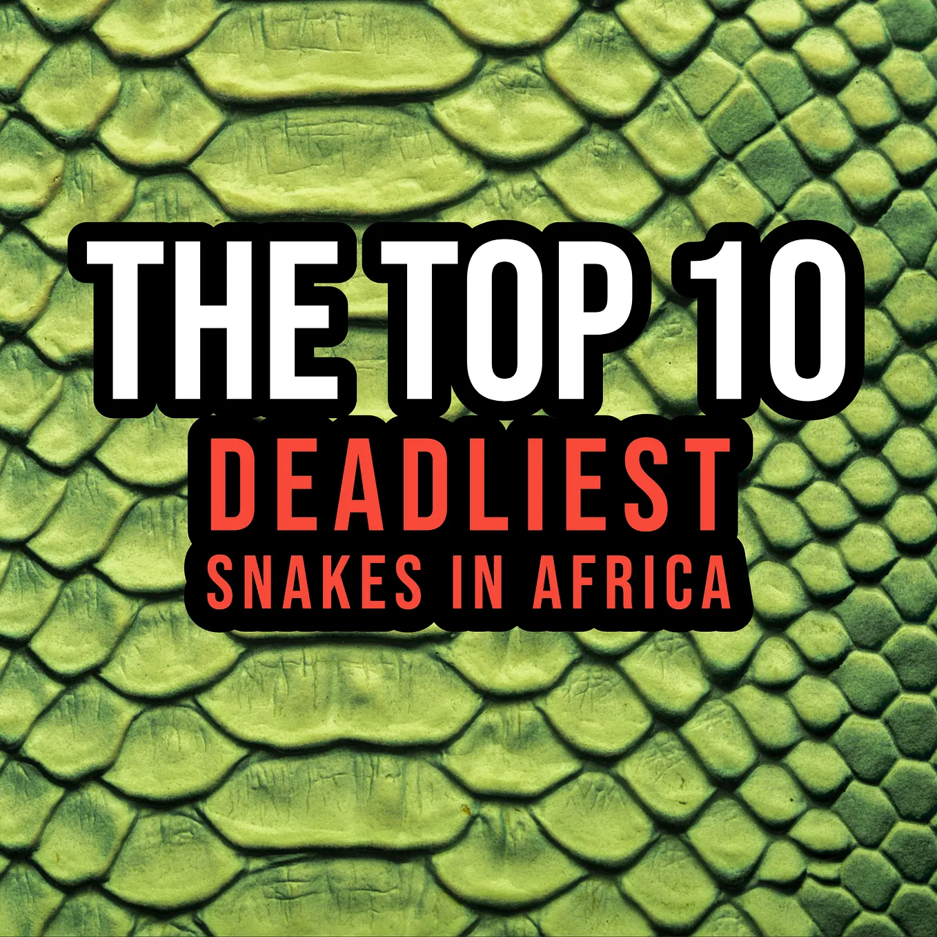 What Are Magnetars?. A Comprehensive Guide to These… | by Larry Slawson | Medium