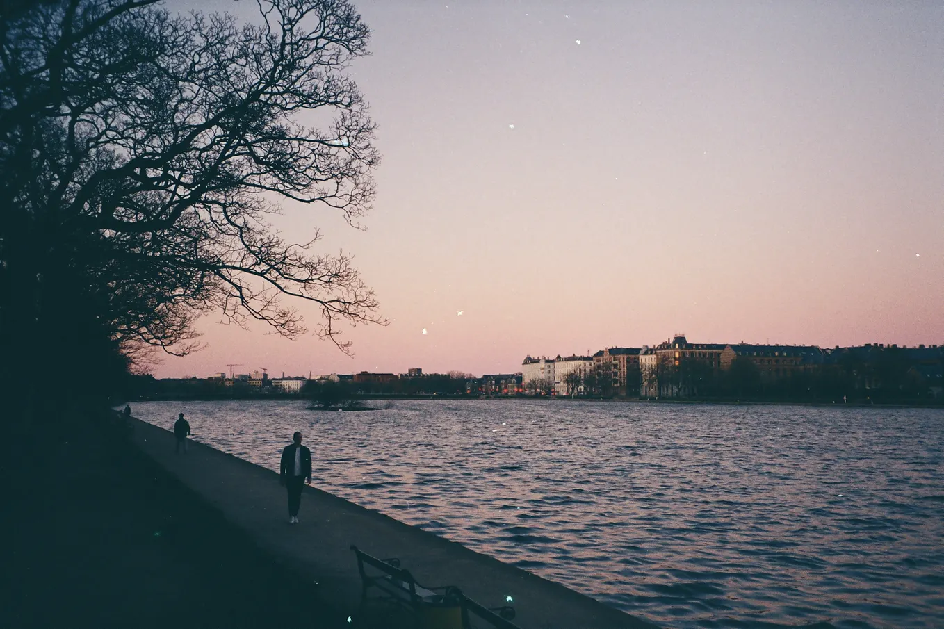 How to create a smooth ‘appear on scroll’ transition with Tailwind CSS and React | by Jacob ...