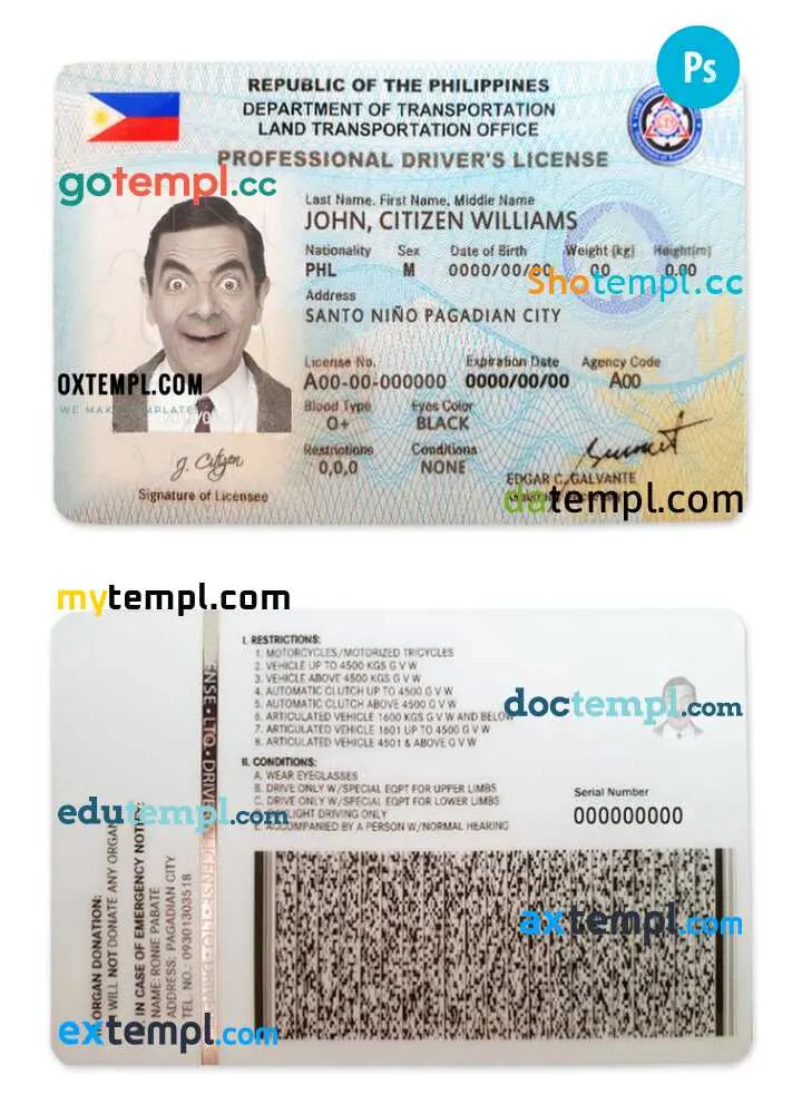 International Translation of Driver’s License PSD template, with fonts ...