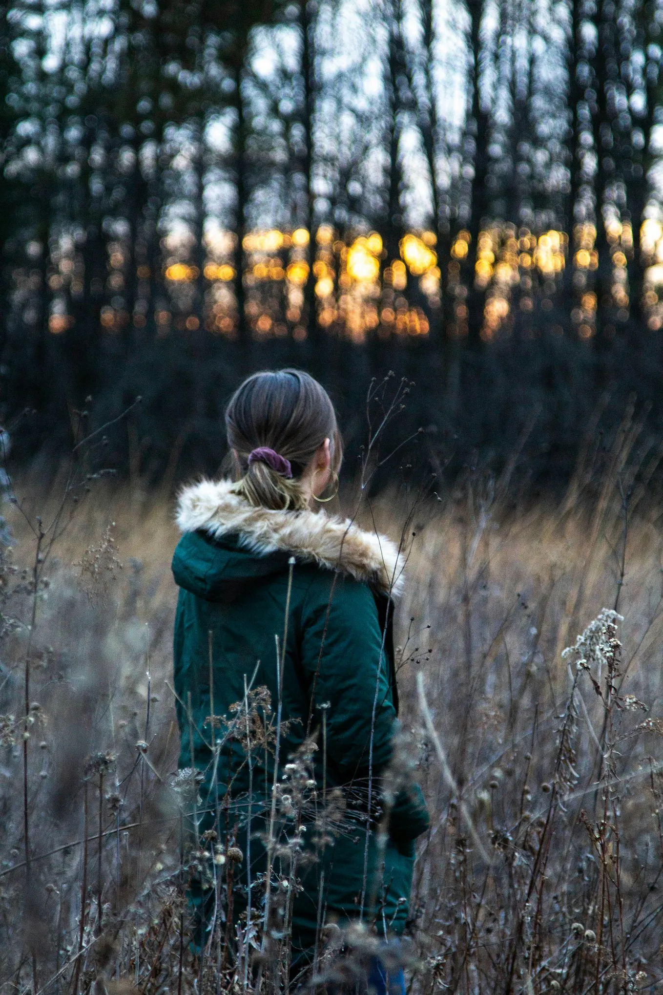 The 120 Seconds That Changed the Whole Universe: Unlocking Emotional ...
