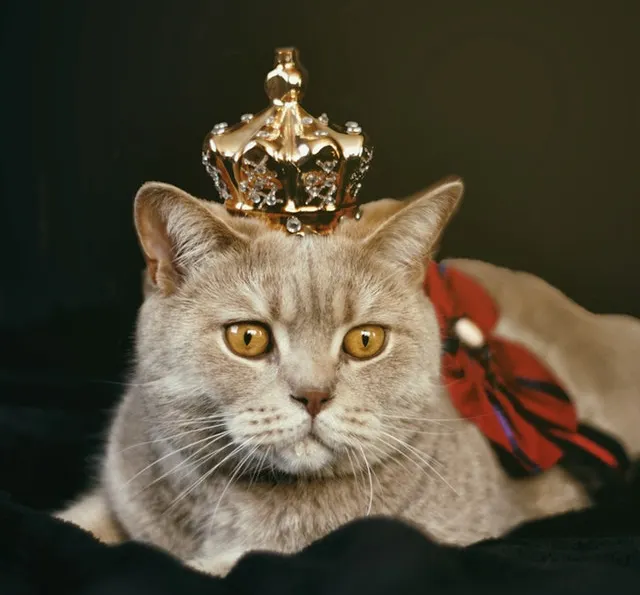 How to Get Rid of “Window is Not Defined” and Hydration Mismatch Errors ...