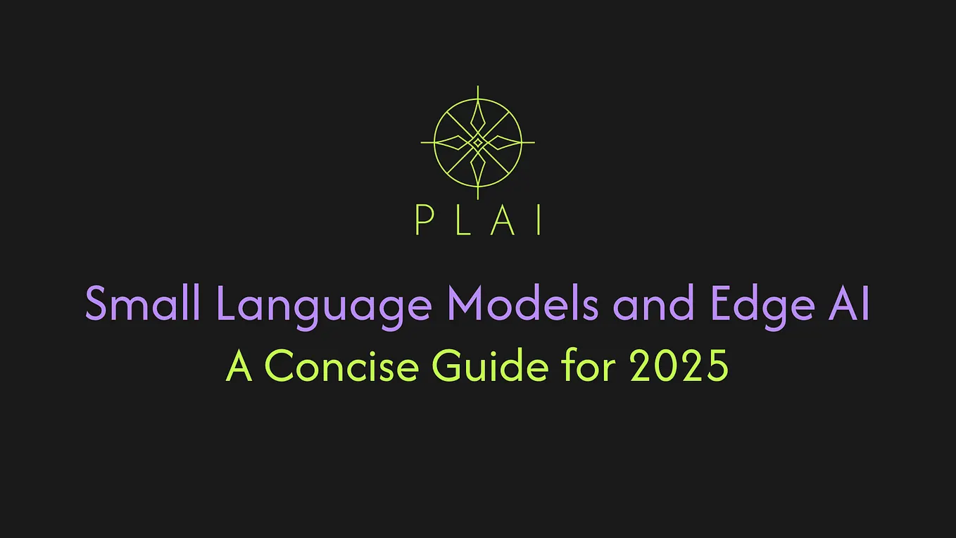 Top Small Language Models in 2025: Your Complete Guide | by PLAI ...