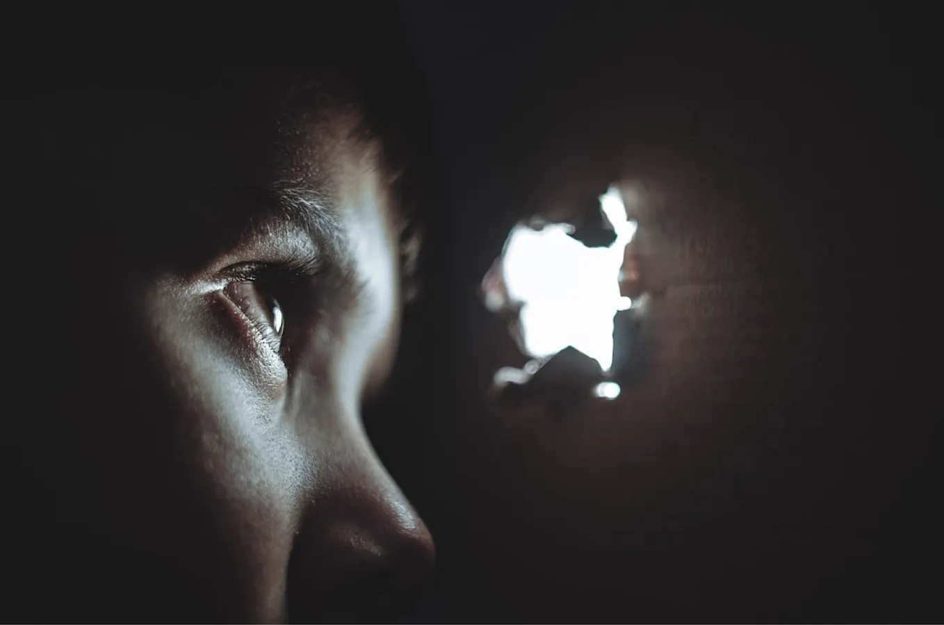 How Sobriety Rewires Sexual Desire: Gut, Brain, and the Science of ...