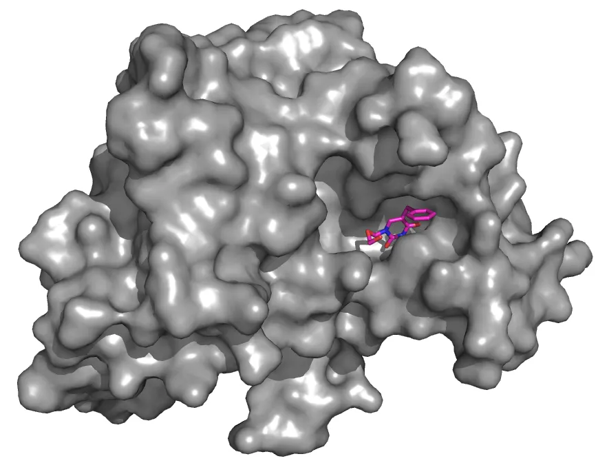 How to predict protein structures with AlphaFold 2 using ColabFold | by ...