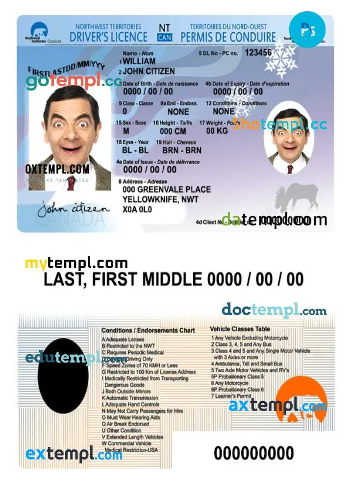 International Translation of Driver’s License PSD template, with fonts ...