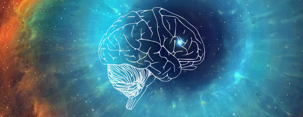 The heuristics of Neurodesign. A guide to design for the brain with ...