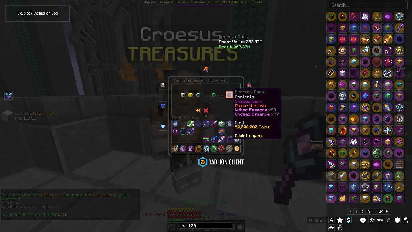 Minecraft Hypixel Skyblock: Enderman Slayer Guide! | by AurumHas | Medium