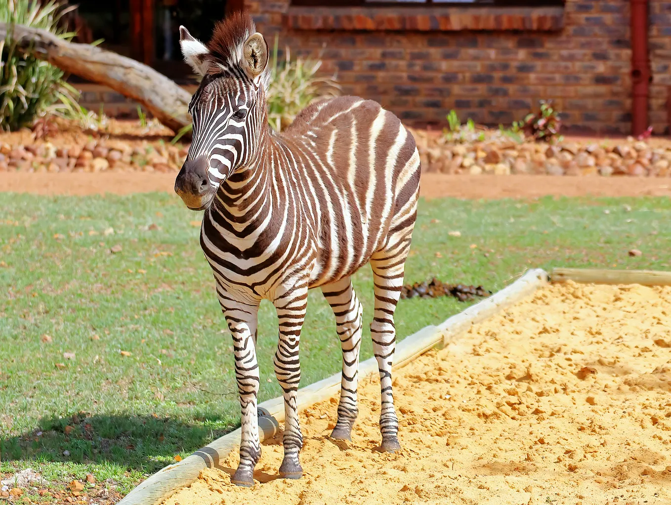 7 JavaScript Powerful Optimization Tricks You Need To Know | by Rehan Pinjari | JavaScript in ...