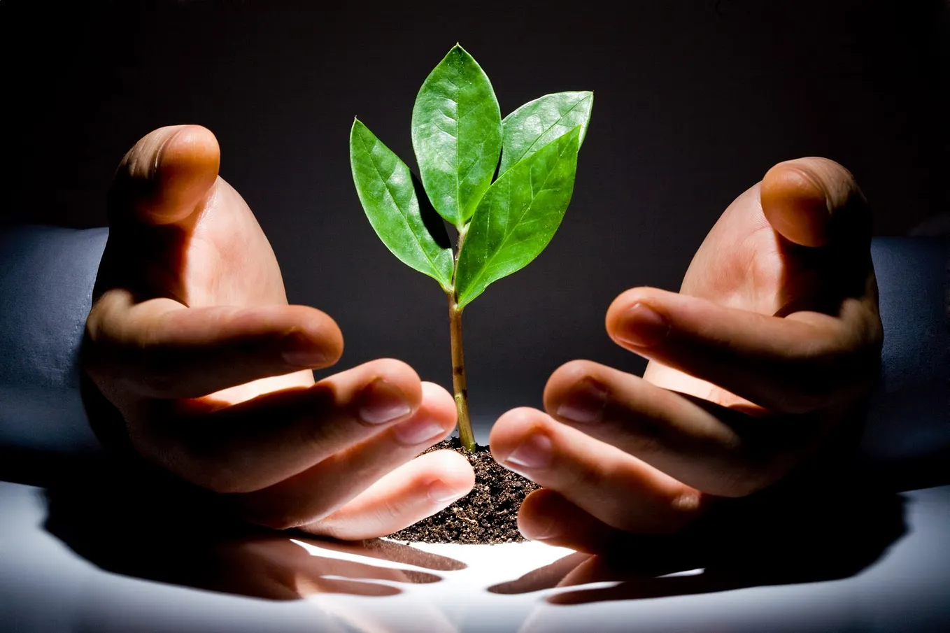 The Rise of ‘Best of Breed’ Applications | by Tikue Anazodo ...