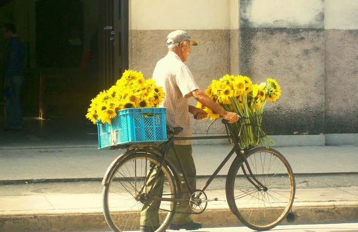 The Flower He Burned - Dose of Letters - Medium