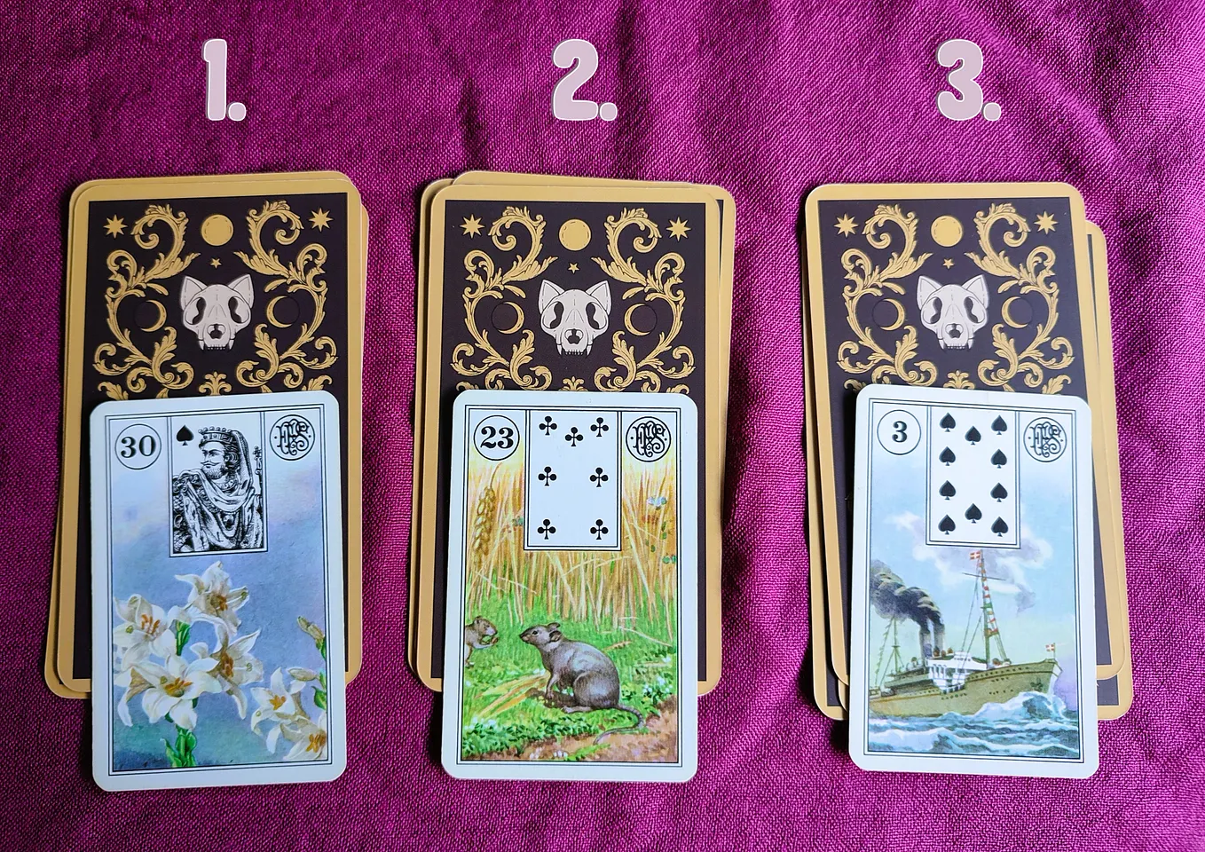 What Does June Have in Store for You? {Tarot Pick-a-Pile Monthly ...
