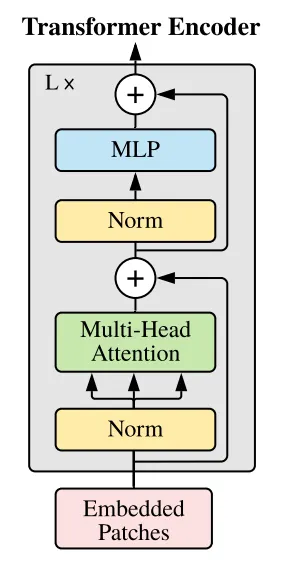 Mastering U-Net: A Step-by-Step Guide to Segmentation from Scratch with PyTorch | by ...