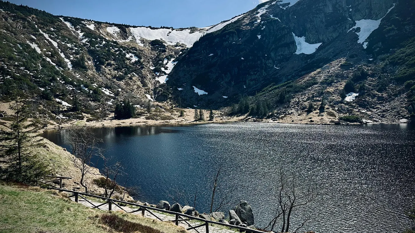 Angular 19: Mastering `input.required()` and Functional Inputs with Signals | by Cristian ...