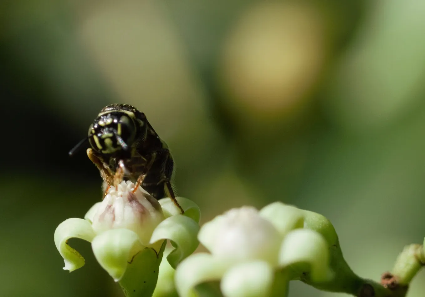 Manage Java Versions With Jenv Master Your Java Environment By Jayson Gcs Javarevisited