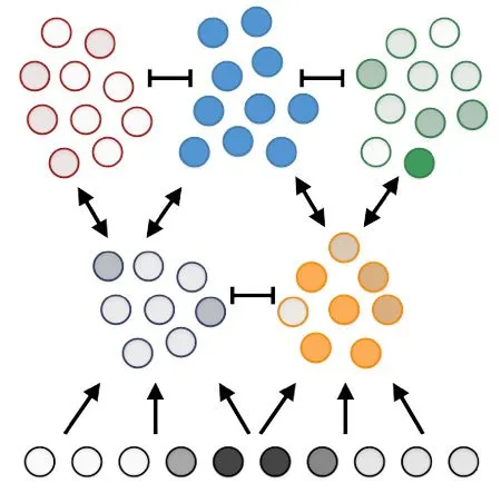 Dealing with Imbalanced Text Data in Machine Learning | by Salman ...