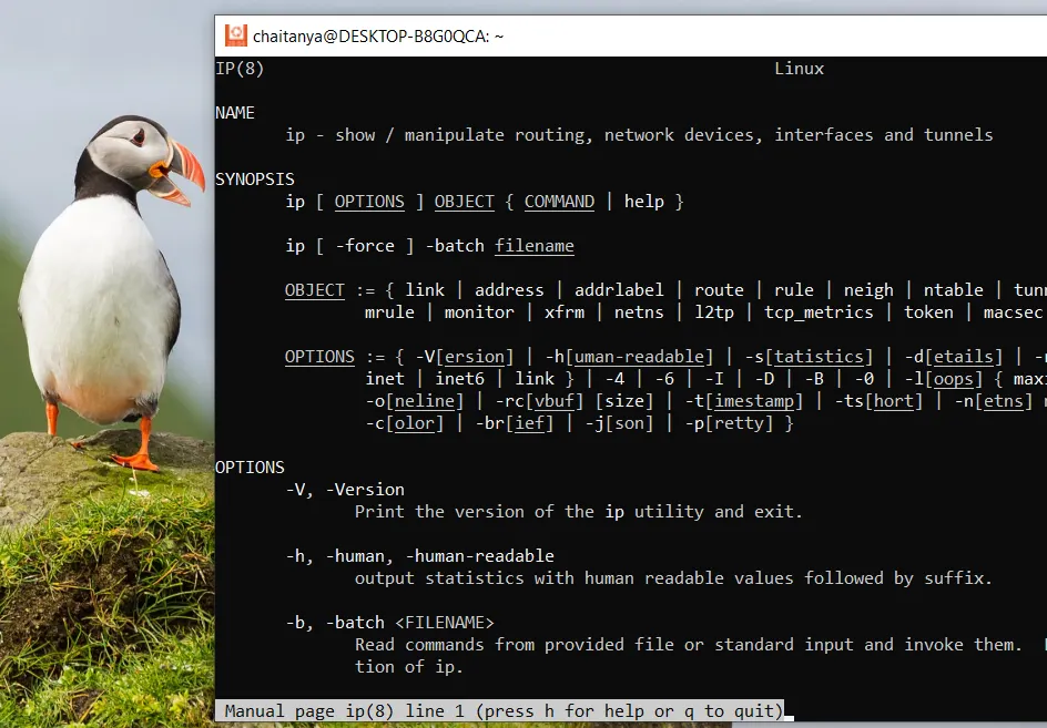 Port and Service Management with telnet, nmap, and lsof | by Chaitanya ...