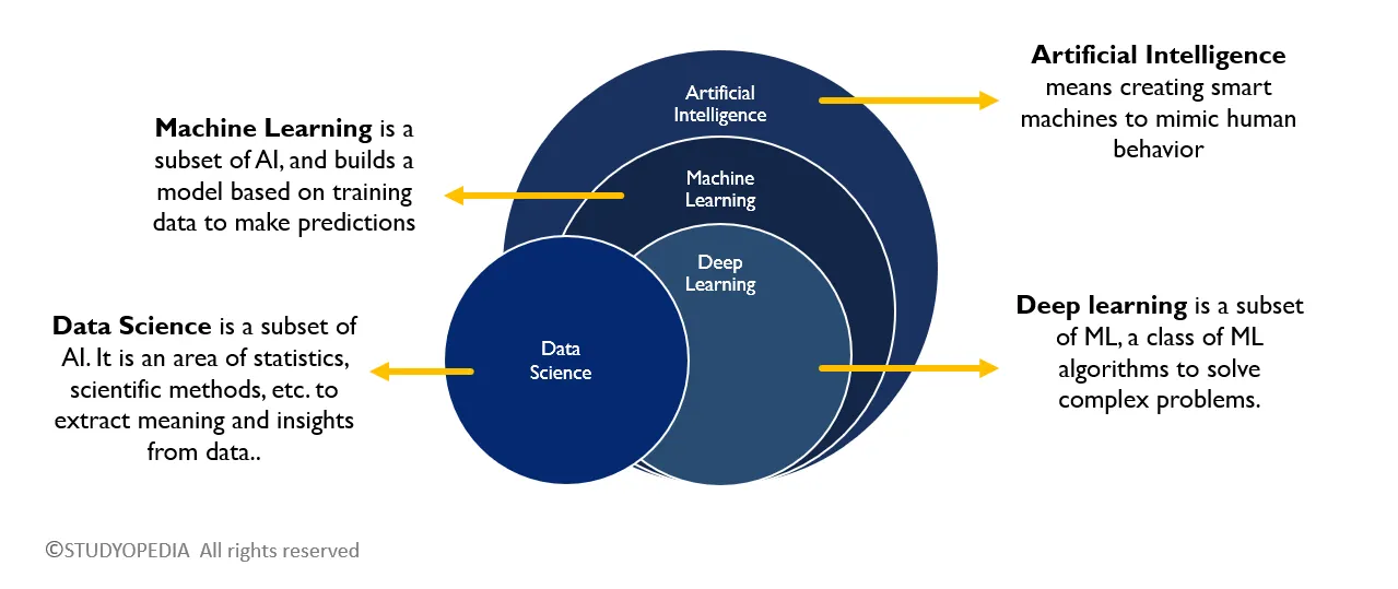 Understanding Machine Learning: How Machines Learn from Data | by ...