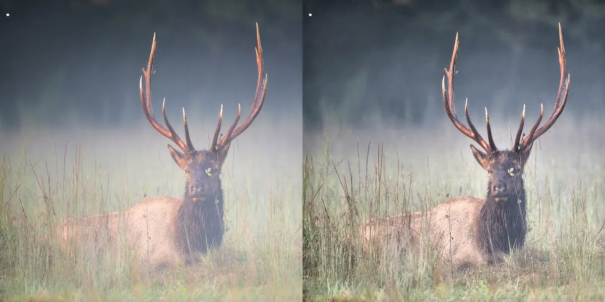 Histogram Equalization in Image Processing. | ImageCraft