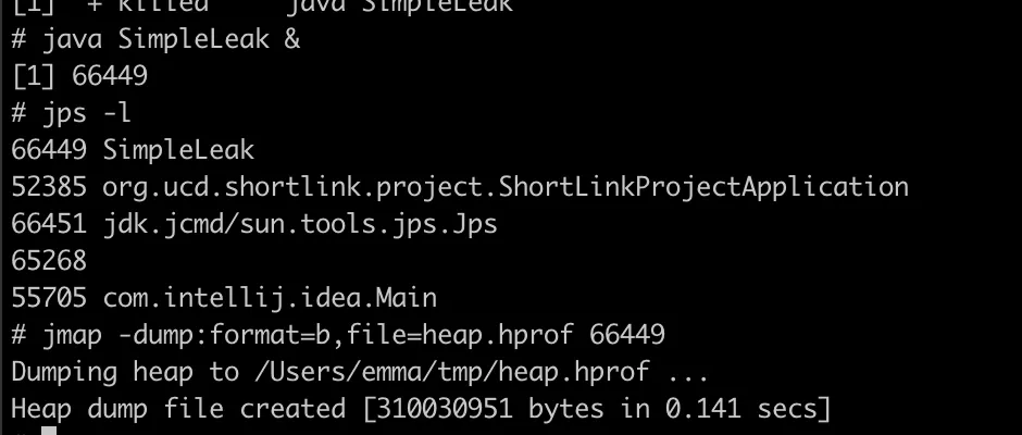 Understanding the JVM Memory Model — Heap vs. Non-Heap | by Guy Erez | Better Programming