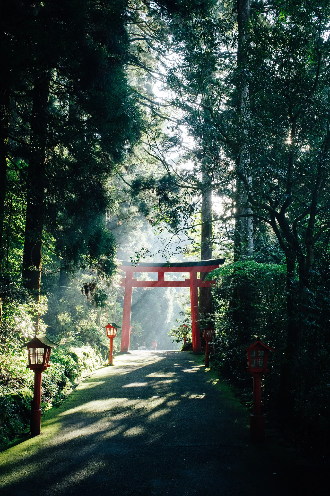The Profound Meaning of ‘Arigato’: More Than Just ‘Thank You’ ?! | by ...